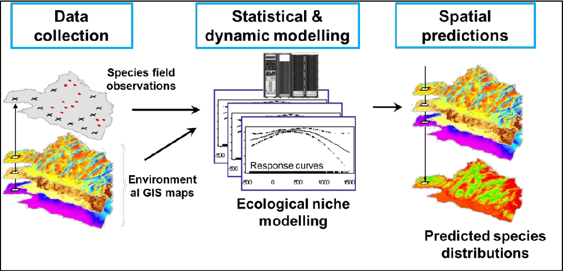 Species Distribution Modeling Volttus Geo
